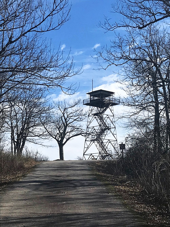 Sentinels of the forest, these lookout towers have witnessed decades of seasonal changes. Climb up for views that'll make your Instagram followers jealous.