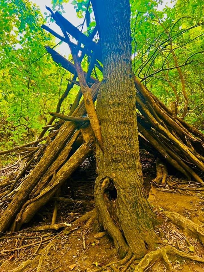 Someone's been playing real-life Minecraft in the forest. This rustic lean-to proves that architectural inspiration sometimes comes without Wi-Fi or blueprints.