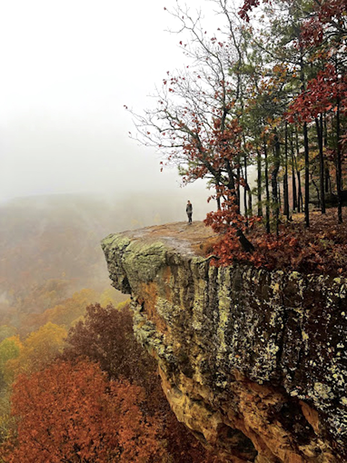 Fall's misty morning transforms Hawksbill Crag into something from a fantasy novel&mdash;where the world below disappears and anything seems possible.
