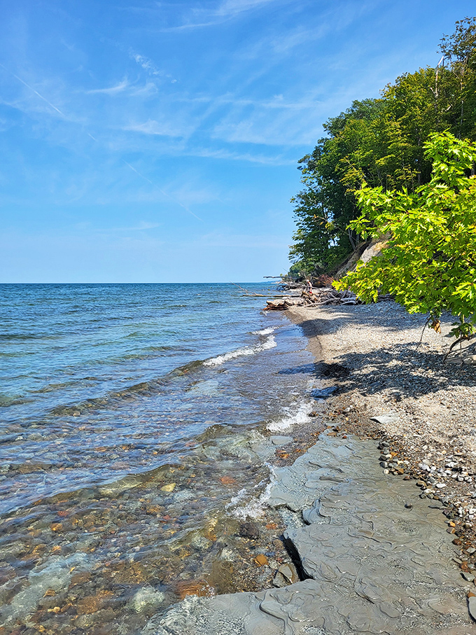 The rocky shoreline tells Lake Erie's ancient story in layers of stone, where each wave adds another line to the never-ending tale.