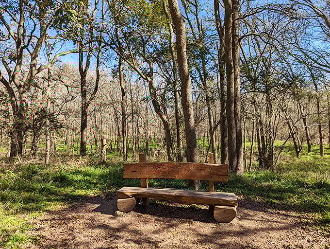 This rustic bench offers nature's version of front-row seating to the greatest show on earth&mdash;no tickets required, just appreciation.