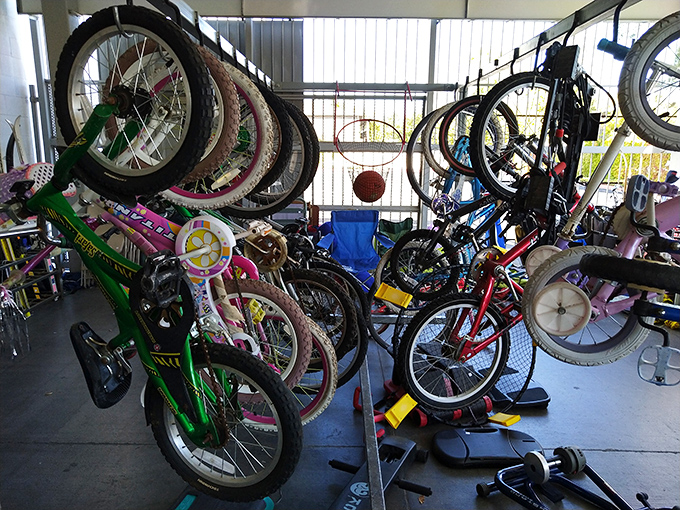 Bicycle boneyard or kid's dream come true? With a little TLC, these two-wheeled time machines will hit the neighborhood streets again.