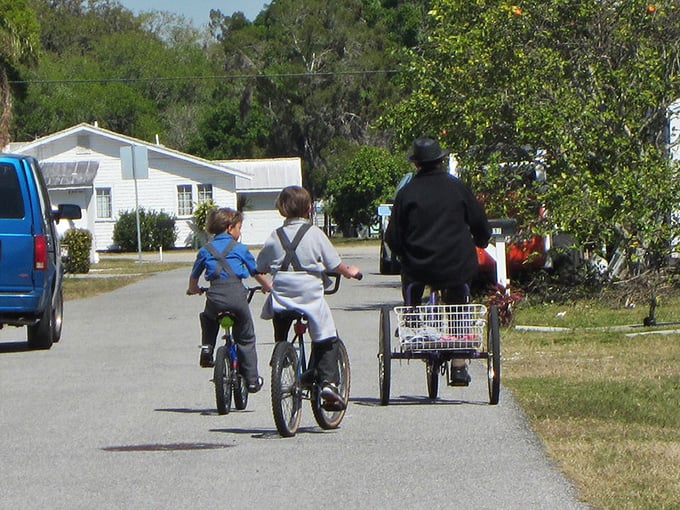 The family that cycles together, stays together. Three generations navigate Pinecraft's streets, showcasing the community's emphasis on family and simple pleasures.