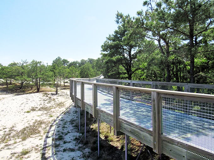 Engineering meets ecology on this elevated pathway, allowing visitors to traverse fragile wetlands without leaving footprints&mdash;only taking memories.