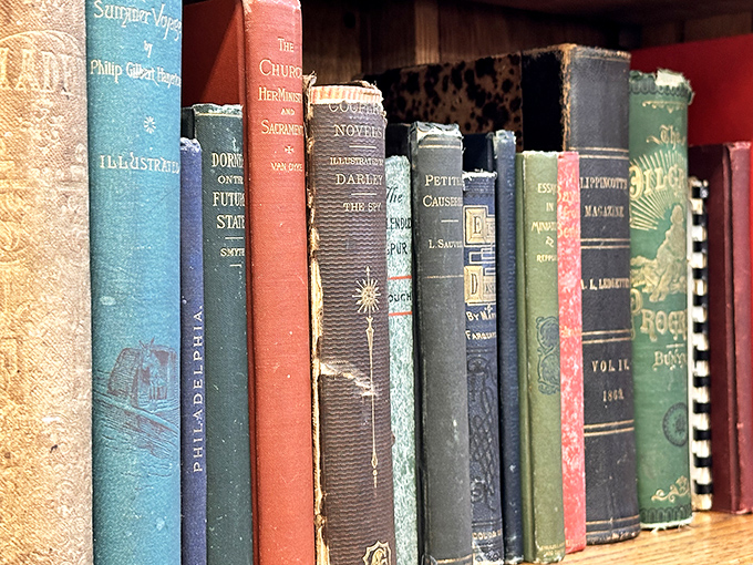 These weathered spines represent someone's literary journey through life. Each book is a time machine waiting for its next passenger.