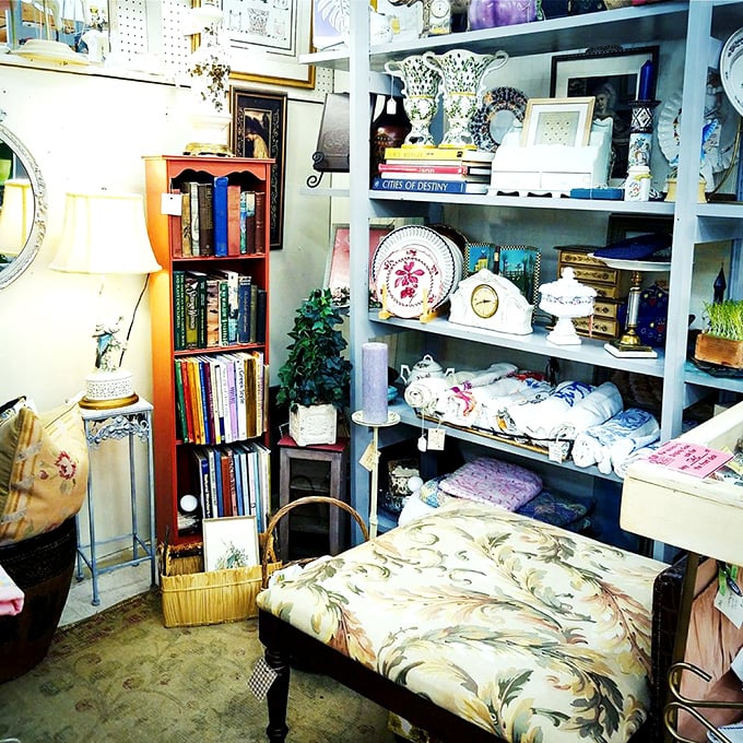 Cozy literary nook. Books, collectibles, and textiles create a space that feels like the library of the eccentric great-aunt you wish you had.