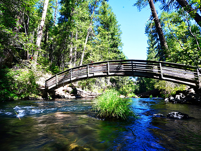 This isn't just any bridge&mdash;it's nature's invitation to cross from everyday life into something extraordinary.
