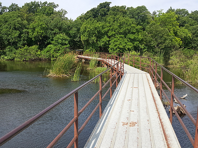 The bridge to somewhere wonderful. This winding walkway over wetlands invites exploration and promises adventure on the other side.