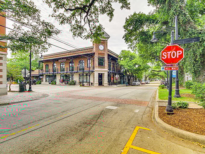 The marina offers a postcard-perfect glimpse of coastal life where boats gently bob like nautical neighbors catching up on gossip. 