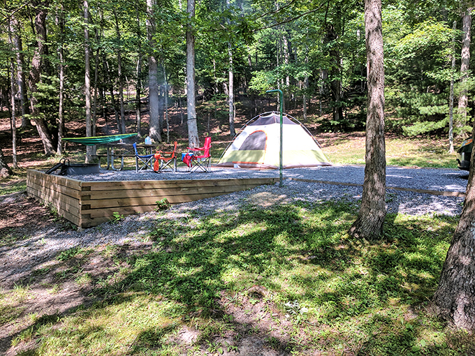 Camping perfection: where your morning alarm is birdsong and your ceiling is a canopy of stars.