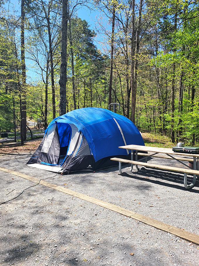 Camping simplified: a flat pad, picnic table, and symphony of nocturnal forest sounds beats any five-star hotel's turndown service.