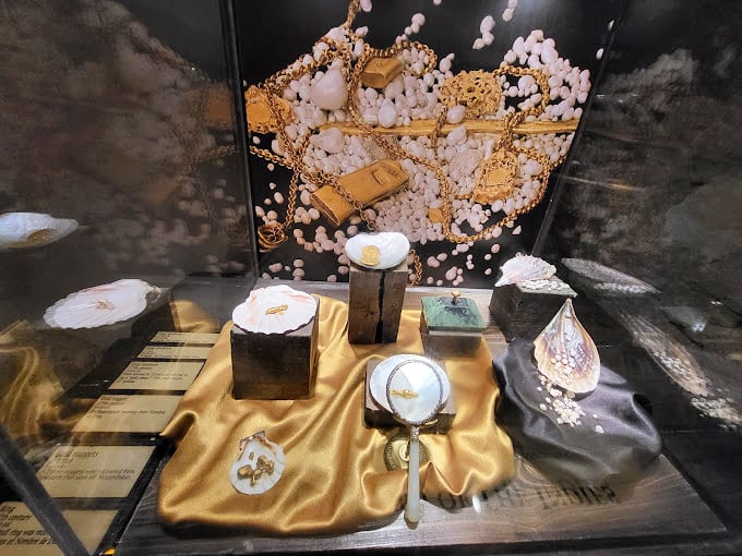 Look closely at these recovered artifacts&mdash;each shell and coin tells a story of shipwreck, survival, and the ocean's preservative powers.