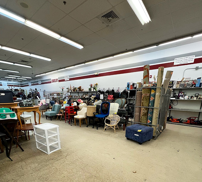 The furniture department: a living museum of American sitting habits through the decades. That wicker peacock chair has seen things, my friends.