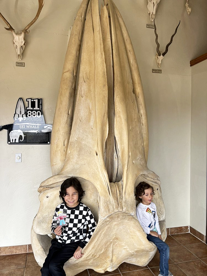 Two young visitors find the perfect photo op inside a massive whale skull. Nothing says "memorable childhood" like sitting in nature's largest mouth.