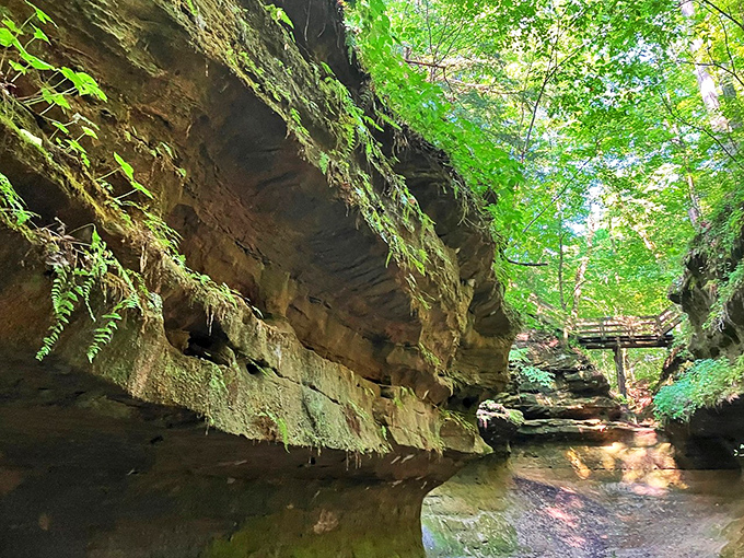 Moss-draped cliffs channel a prehistoric vibe, making you half-expect to see dinosaurs wading through these crystal-clear waters.