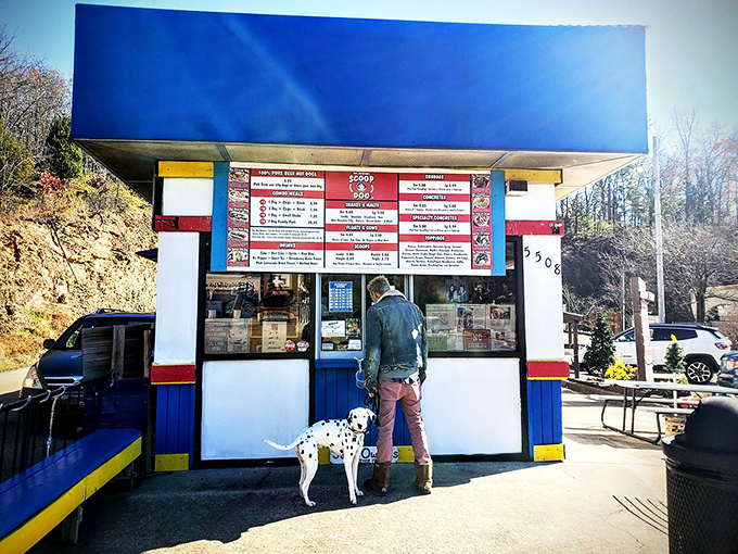 Even four-legged friends know where the good stuff is. Dogs recognizing quality dogs—there's poetry in that.