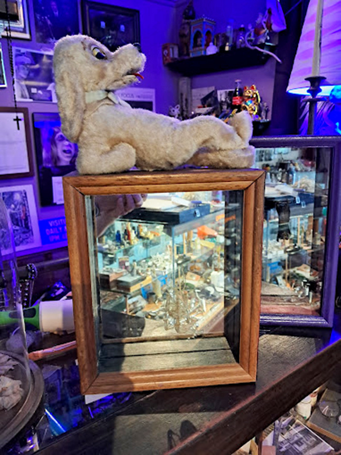 Vintage medical instruments laid out like a surgeon's nightmare. Makes you grateful for modern medicine and anesthesia, doesn't it?