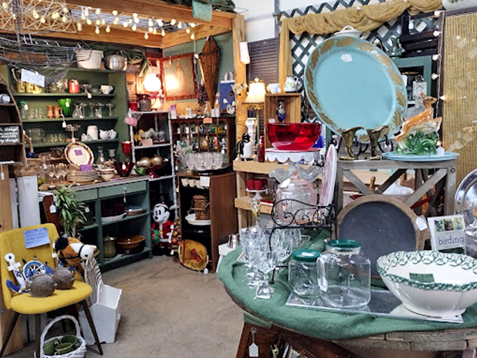 An aisle that demands slow browsing and deep breathing. The wooden shelves create a rhythm that guides you from one discovery to the next.