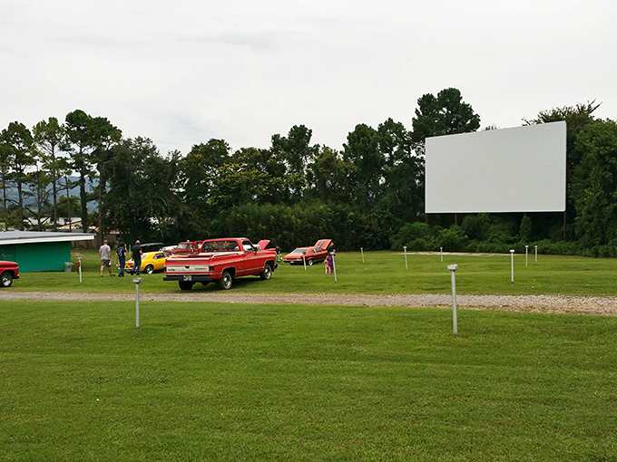 Vintage trucks and modern sedans share the same grassy viewing area&mdash;democracy in action at the Kenda Drive-In.