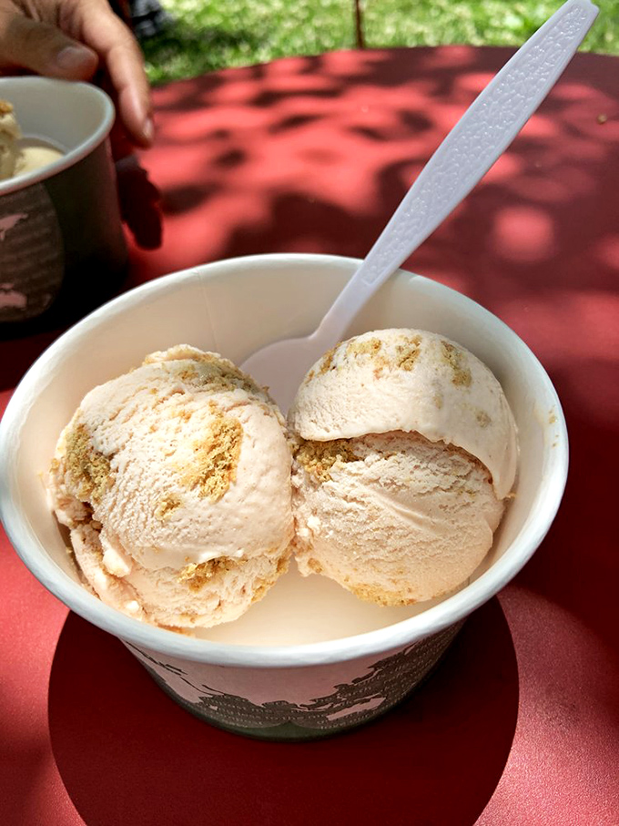 Ice cream with sprinkles brings childlike joy that no financial app or mortgage payment will ever provide. Color therapy you can eat.
