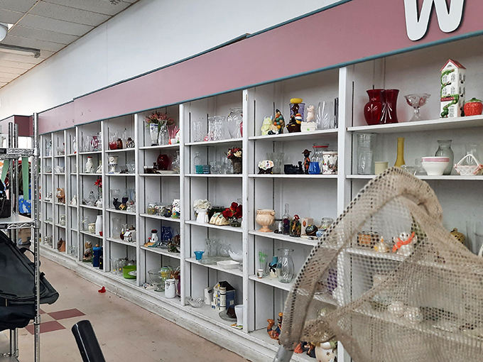 Crystal castles and ceramic kingdoms await new rulers. These shelves of glassware hold more stories than a retirement community bingo night.