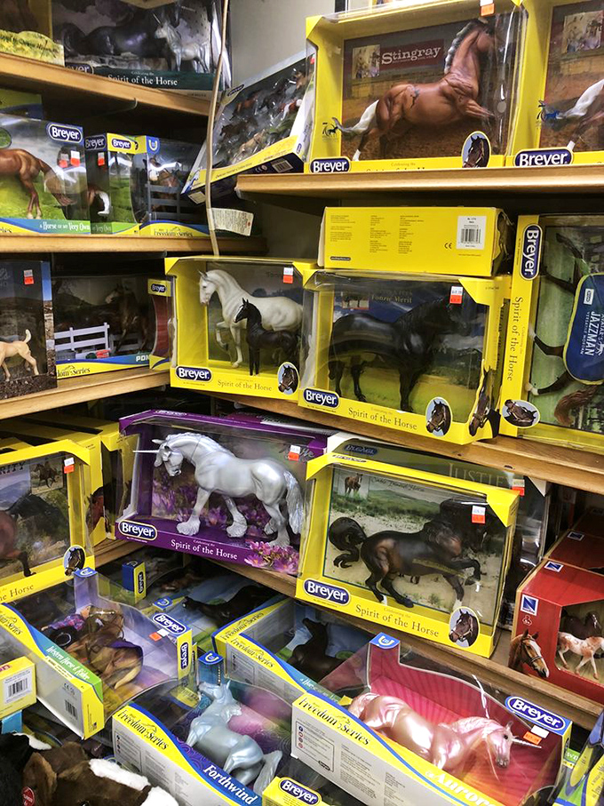 Horse figurines gallop across shelves in suspended animation. Breyer horses&mdash;the gateway collectible that's launched a thousand childhood obsessions