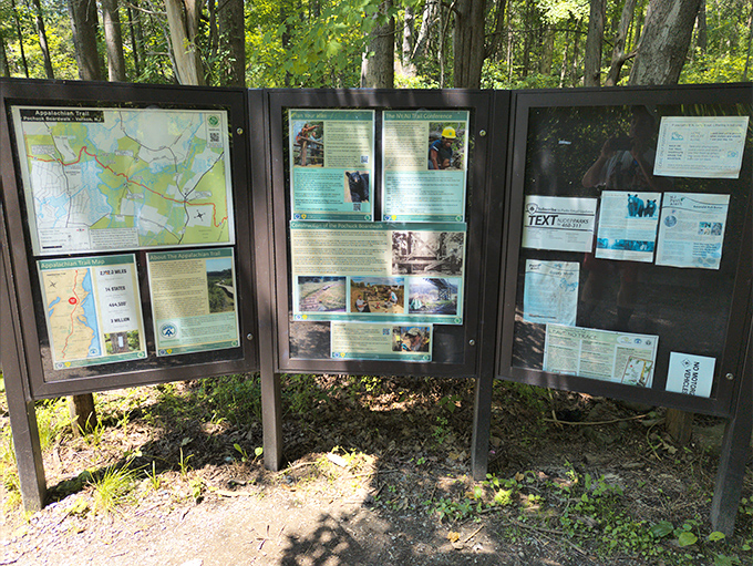The information board serves as your wilderness cheat sheet&mdash;part treasure map, part nature guide, all adventure.