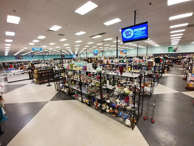 A thrifter's paradise where treasures hide in plain sight. The digital screen announces today's discounts like a casino announcing jackpots.