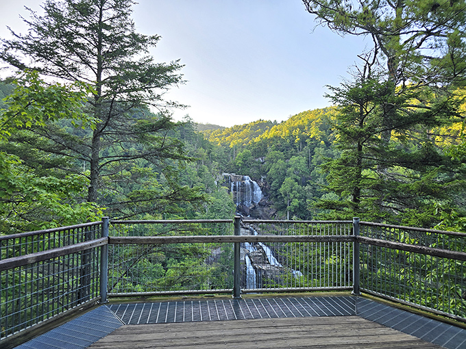 A panoramic vista that makes even smartphone photos look professional. These Blue Ridge views have been impressing humans since before Instagram existed.