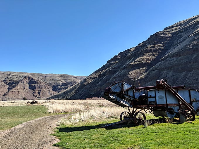 The visitor center nestled at the canyon's base looks like a movie set for "How the West Was Actually Lived." No CGI required for these dramatic surroundings. 