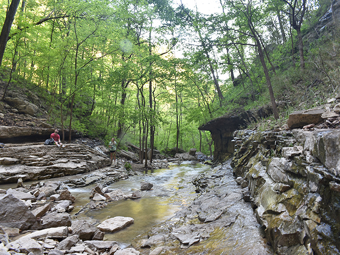 The stream carves its path through ancient rock, a reminder that persistence &ndash; even at a trickle &ndash; can accomplish remarkable things over time.