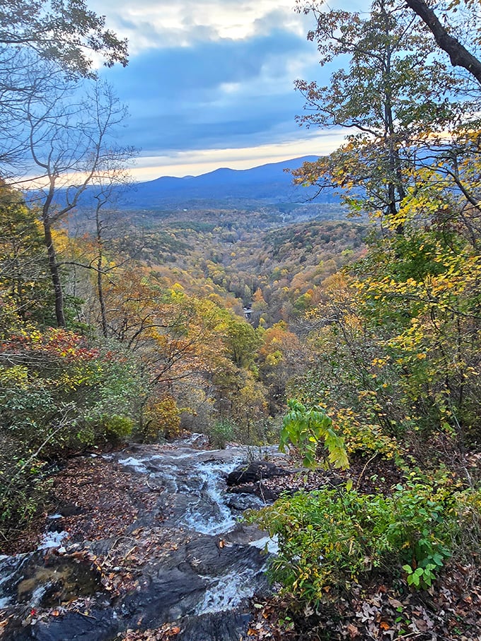 The reward for conquering those stairs: a rolling tapestry of Blue Ridge Mountains. Some views simply can't be captured in pixels, no matter how good your phone is.