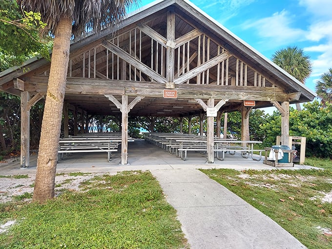 Picnic pavilions with million-dollar views. This rustic shelter has hosted countless family gatherings, each one with the Atlantic Ocean as an uninvited but welcome guest.