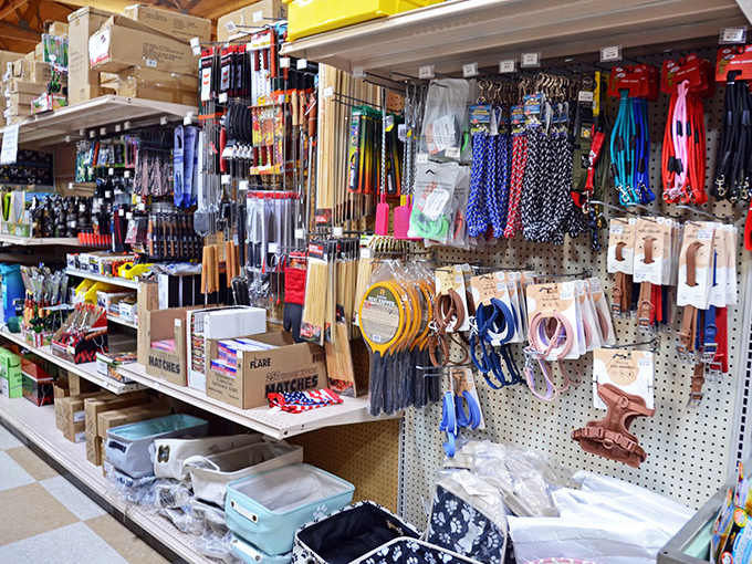 DIY paradise awaits in aisles stocked with everything from matches to measuring tapes&mdash;projects suddenly seem possible when tools are affordable.