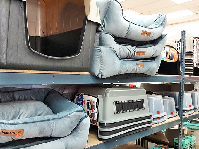 Pet accessories that pamper your furry friends without punishing your finances. Fido deserves the best, and so does your savings account.