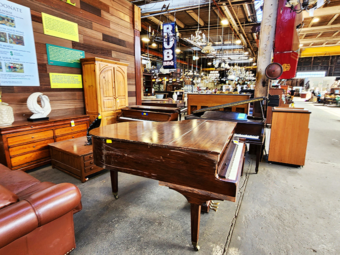 A piano graveyard or opportunity sanctuary? These grand instruments await musicians&mdash;or creative types who'll transform them into bars.