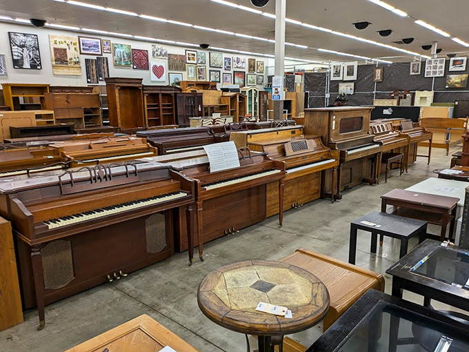 Piano paradise! Each keyboard holds thousands of unplayed melodies and broken New Year's resolutions to finally learn "F&uuml;r Elise" beyond the first three notes.