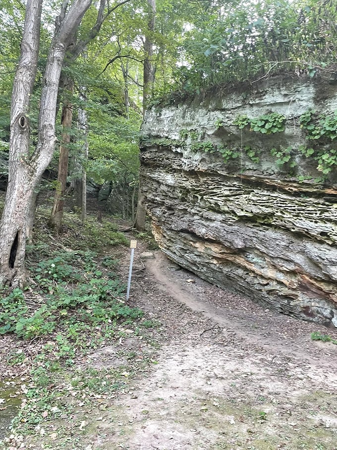Layer upon geological layer tells Earth's autobiography in stone. This rock face has more interesting lines than most Hollywood scripts.