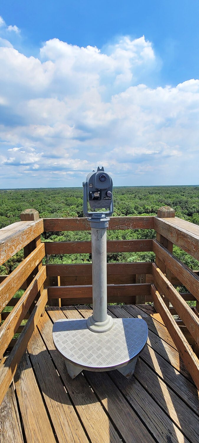The observation tower offers views that make smartphone panoramas feel inadequate—Florida's wilderness stretching to horizons your screen can't capture.