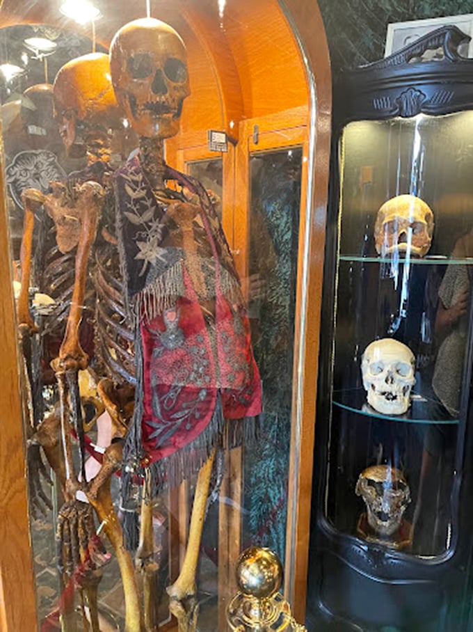 A macabre collection that would make any medical school proud&mdash;skulls of varying sizes offer silent testimony to mortality's beautiful architecture. 