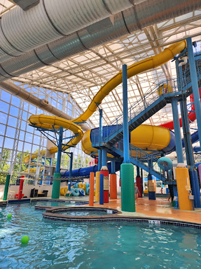 The yellow slide isn't just a water ride—it's a gravity-powered therapy session that ends with a splash instead of a co-pay.