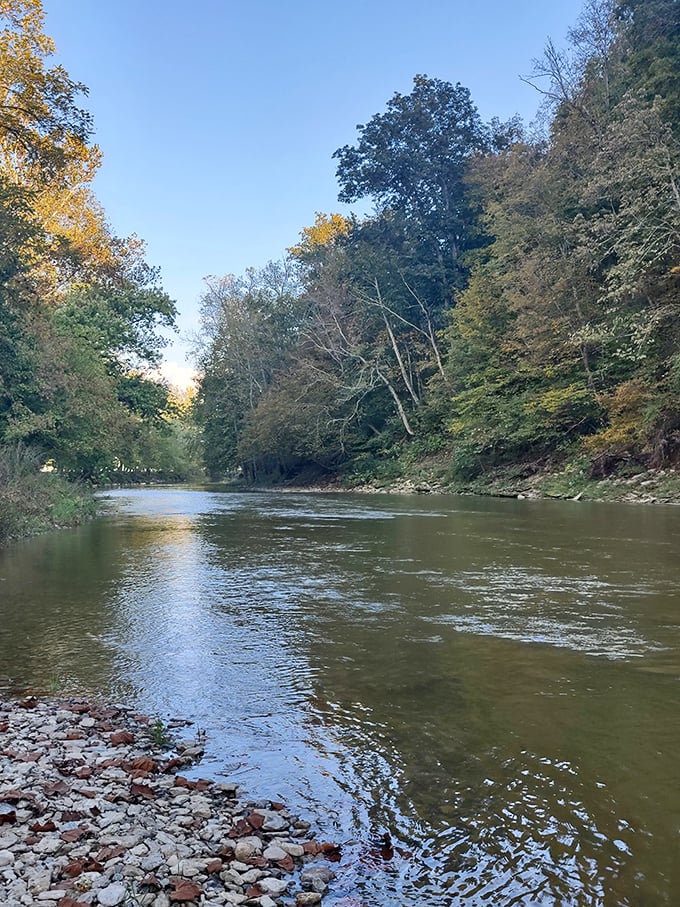Water has always determined where we settle. This peaceful stream has witnessed centuries of human history while barely changing its patient course.
