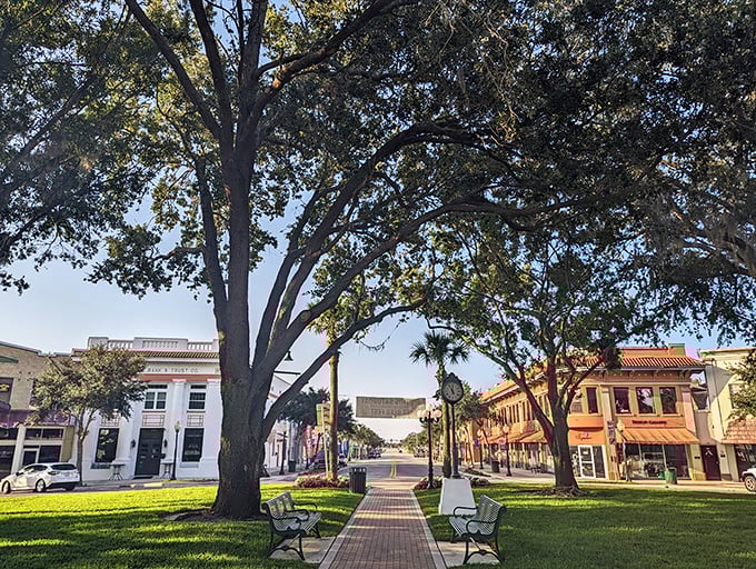 Massive oaks frame Sebring's downtown circle like nature's own welcome arch. These trees have witnessed more Florida history than any guidebook could contain.