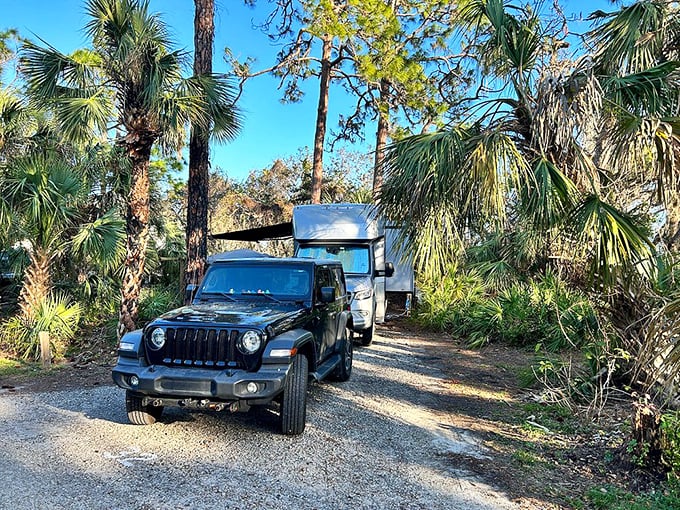 The perfect campsite equation: one Jeep, one trailer, infinite palmettos, and zero emails demanding immediate attention.