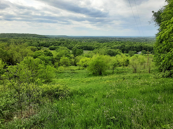 The verdant tapestry of the Flint Hills in spring. Fifty shades of green, and each one more photogenic than the last.