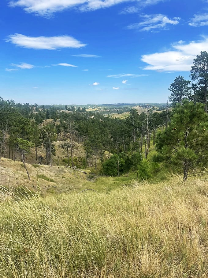 Fifty shades of green unfold before you. This vista makes you wonder if Nebraska has been keeping secrets from the rest of us.