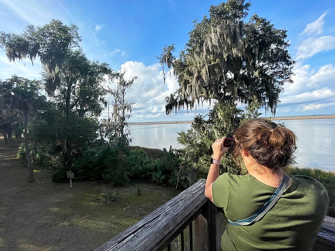Bird watchers and nature photographers find paradise at Fort McAllister's observation platforms, where the coastal ecosystem unfolds like a living documentary.
