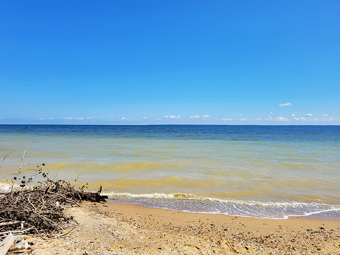 The Chesapeake's gentle waves deliver prehistoric treasures to your feet&mdash;a mail service 15 million years in the making.