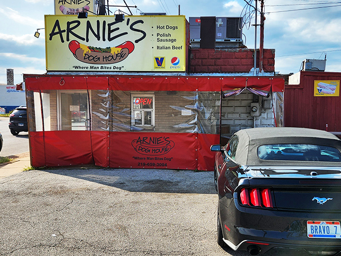 "Where Man Bites Dog" proclaims Arnie's sign&mdash;and trust me, you'll want to take a big bite of everything they serve.