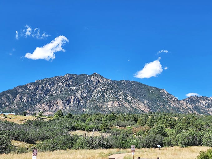 Cheyenne Mountain's trails offer golden moments of perfect solitude. Follow that path, your office emails can't find you here!
